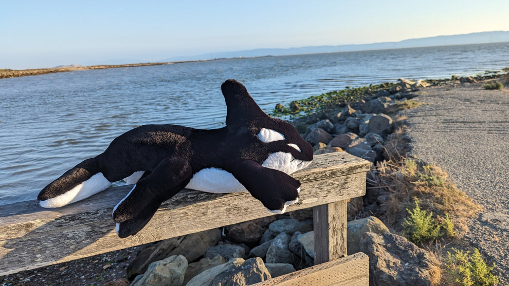 Orca Creature - Mini – Creep Cat Toy Company